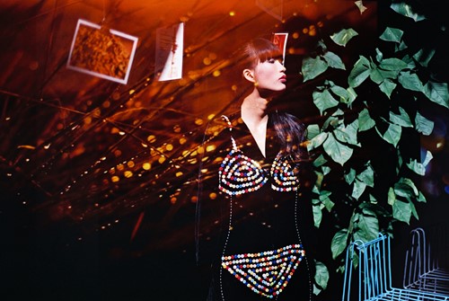 Ha Dang22 | Ha Dang | MaikaElan